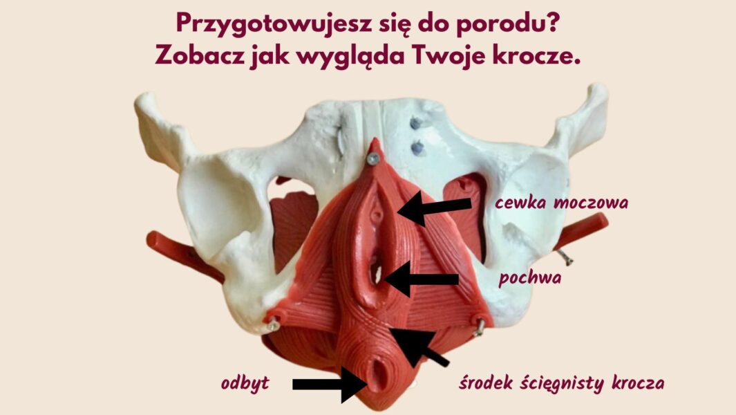 9 sposób na przygotowanie krocza do porodu